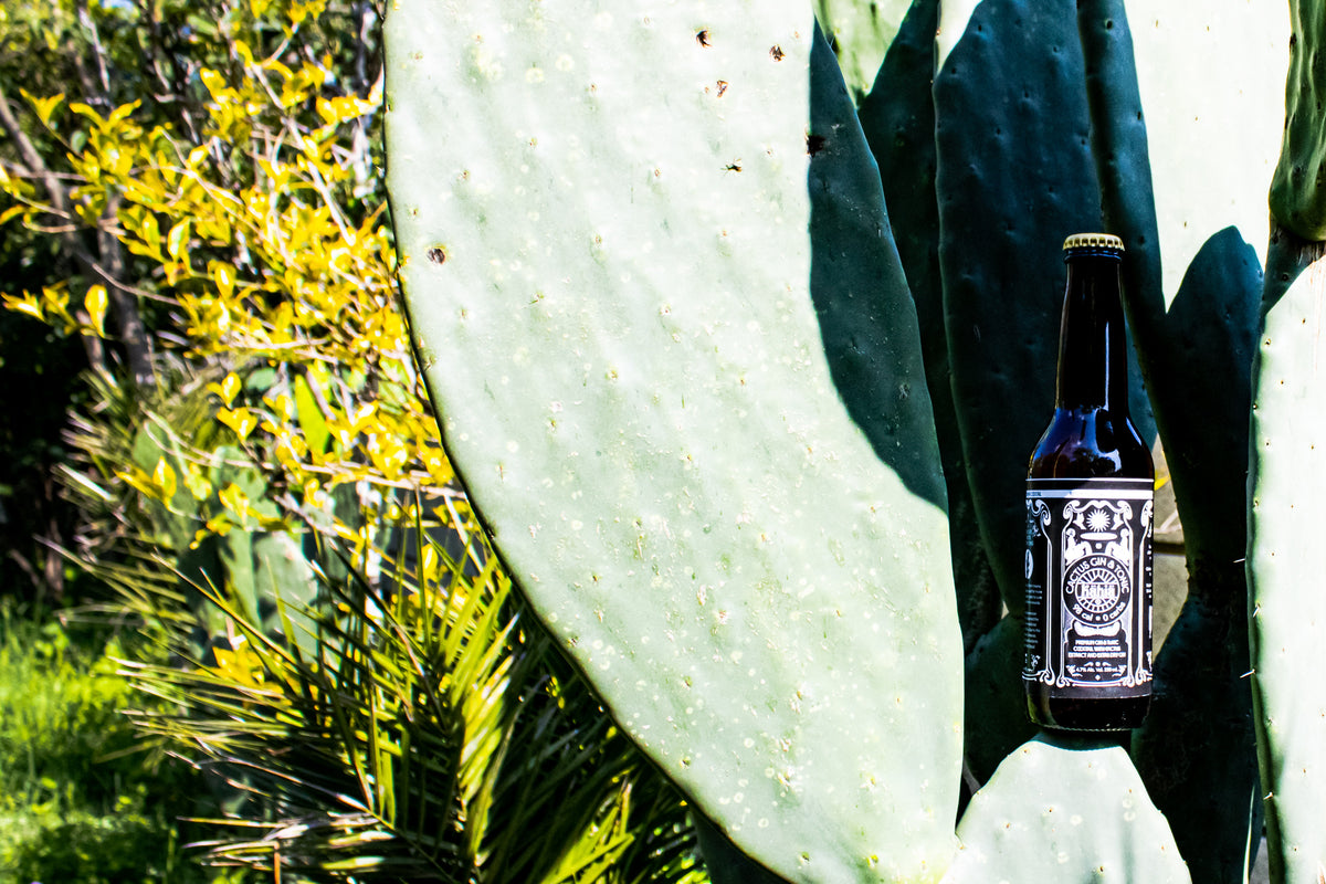 Cactus Gin & Tonic – Touch of México